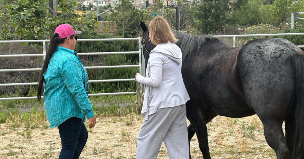 A Comprehensive Guide to Equine Therapy in Addiction Recovery - Lilac ...